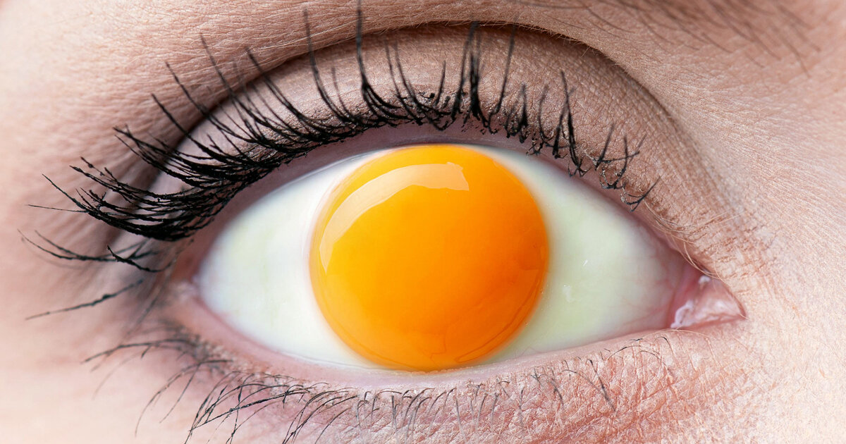 eyes become windows to nature in jyo john mulloor's digital artwork