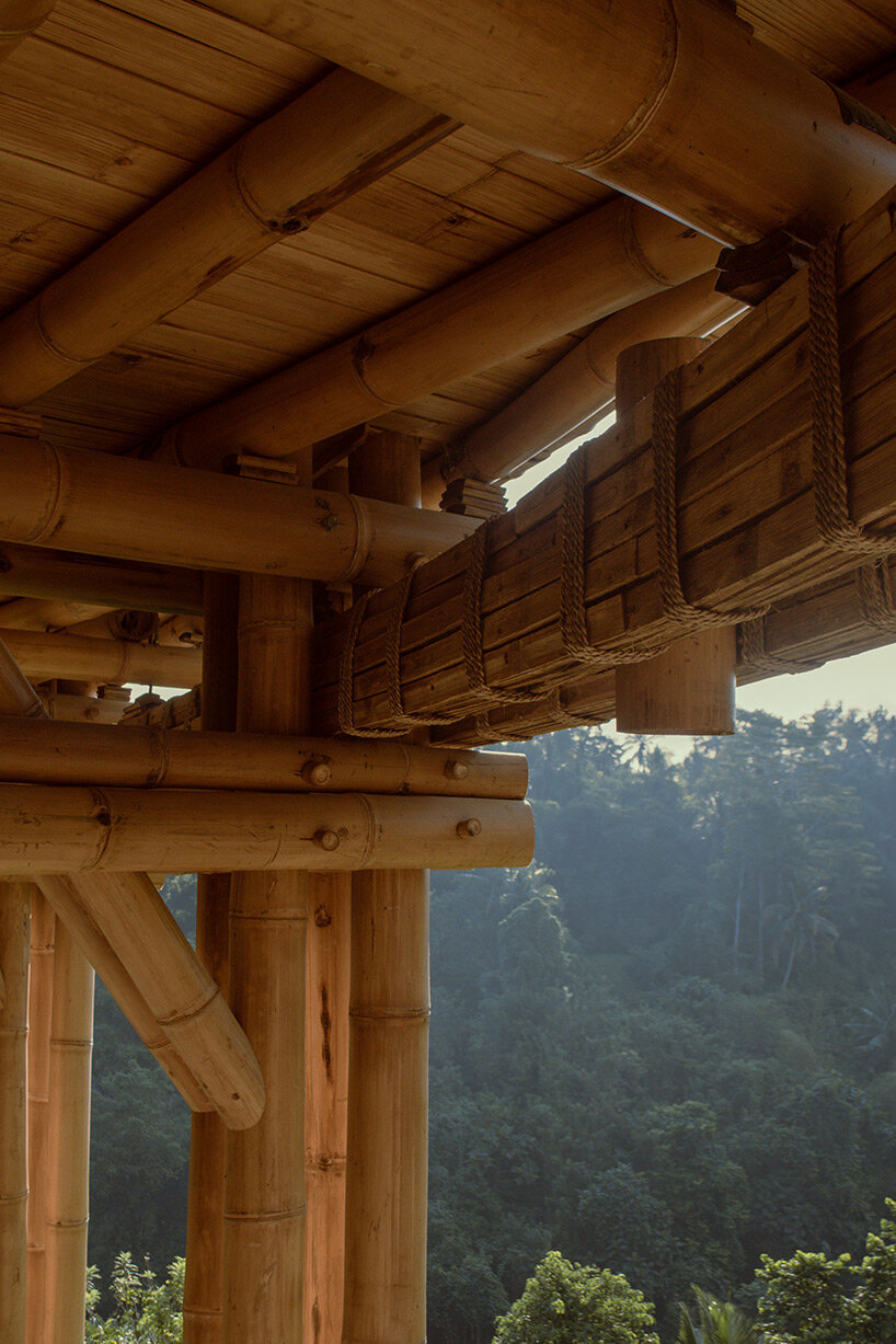 undulating bamboo canopy tops oval teahouse by pablo luna within lush ...