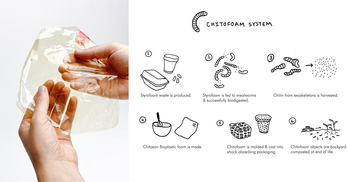 doppelgänger transforms exoskeletons of plastic-eating insects into ...