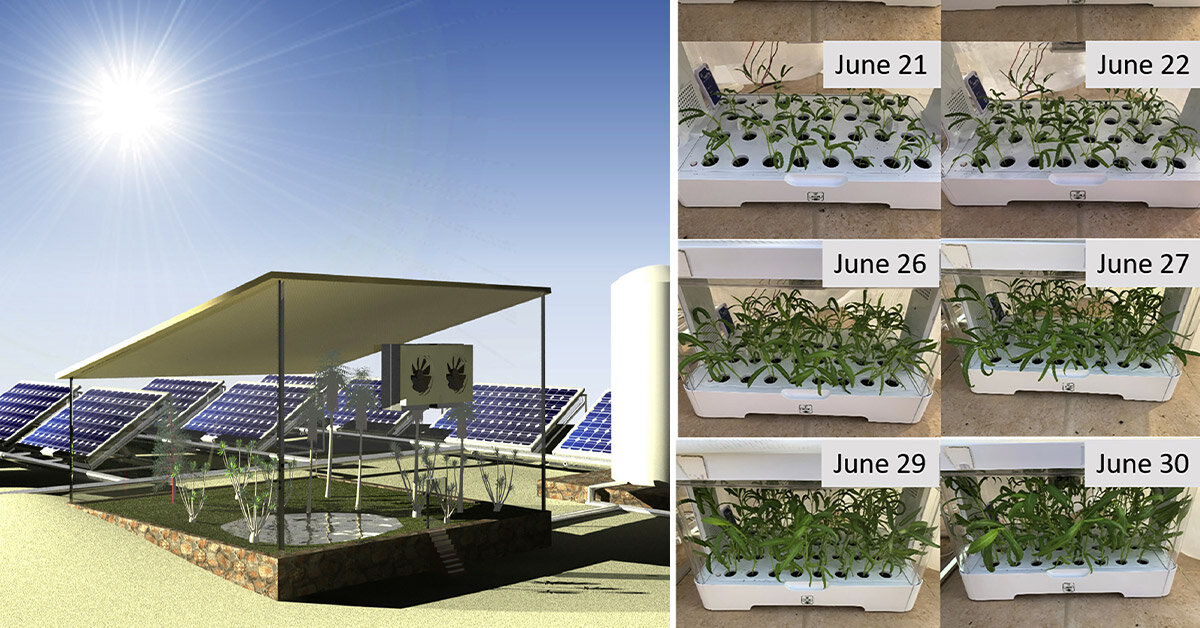 solar panel design can produce freshwater for crops in dry regions