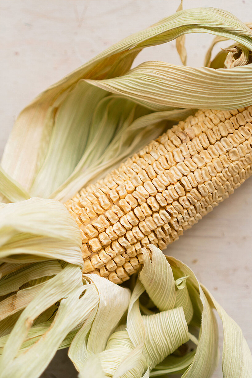 'pieces of home' creates symbiotic solutions by leveraging discarded ...