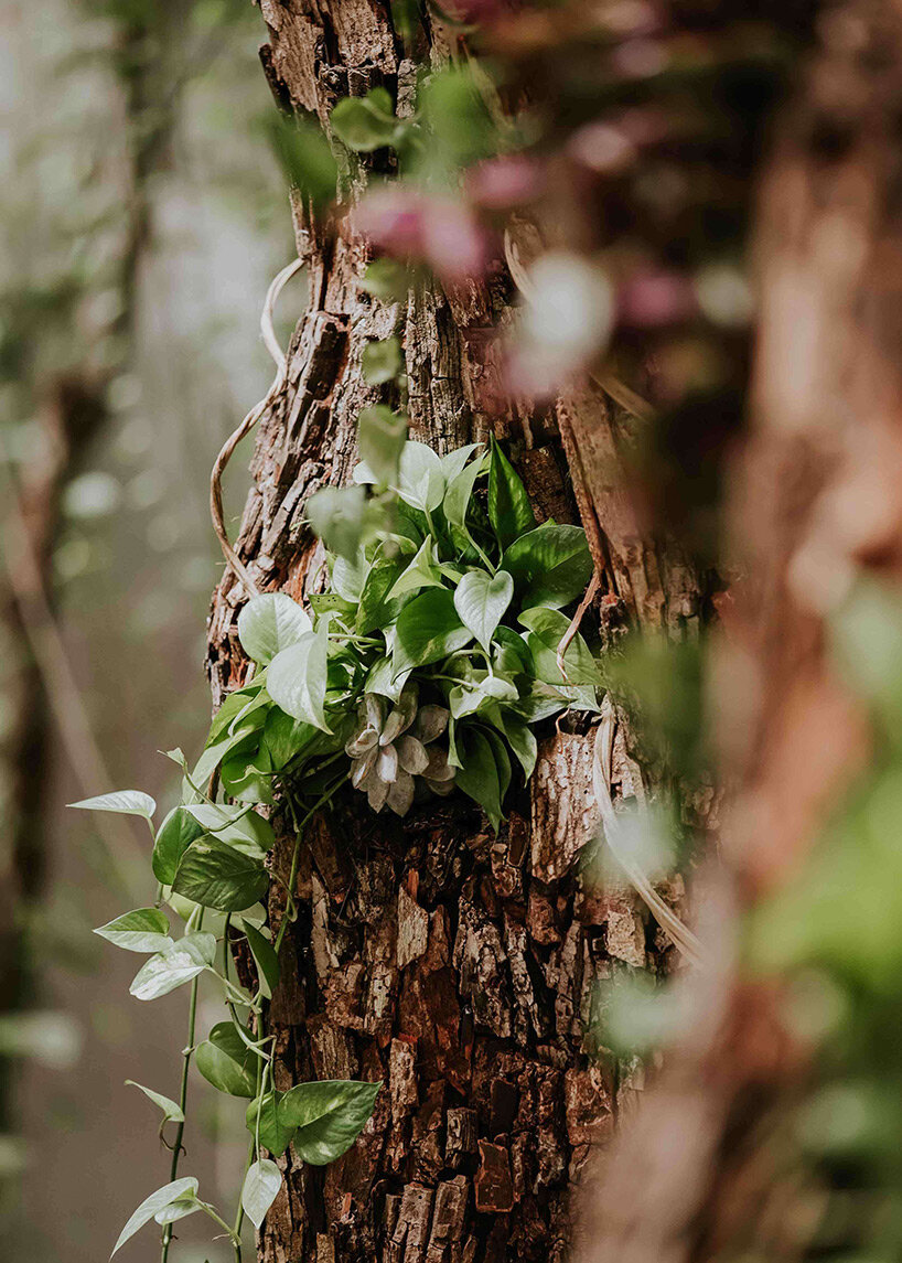 azuma makoto's monumental botanical sculpture 'MEXX' draws from lush ...