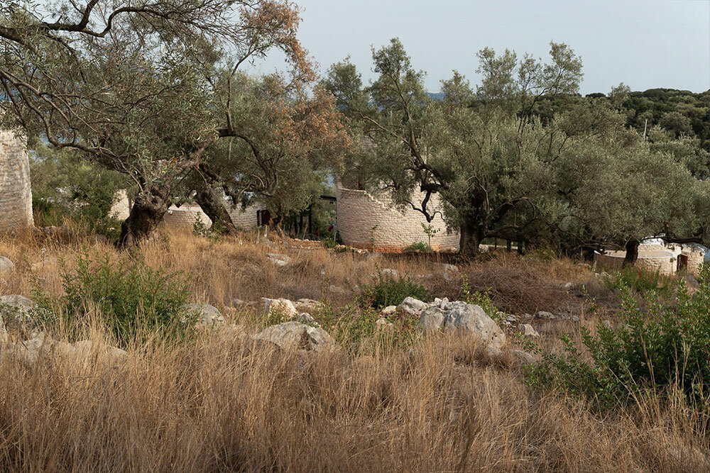 hiboux architecture nestles cluster of scattered curved volumes in ...