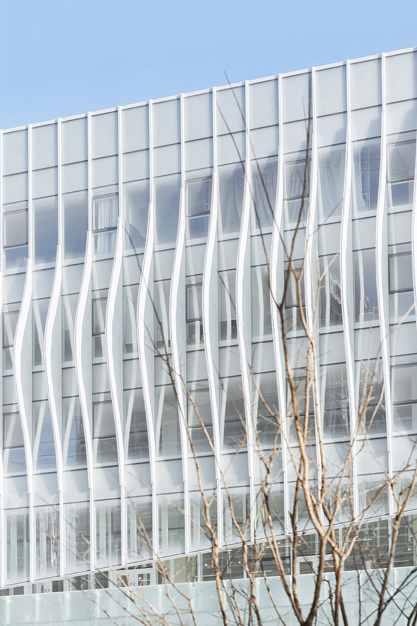 greater dog architects adorns mixed-used building with feather-shaped ...