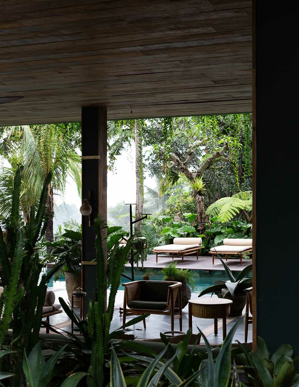 perched amidst a forest in bali, the ravine dwelling blurs the line ...
