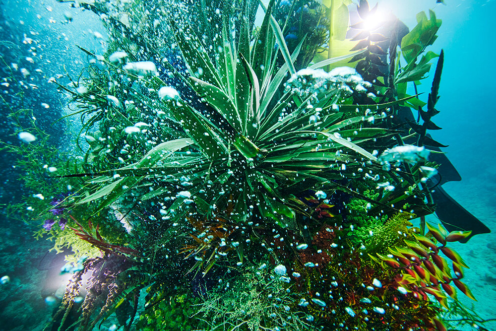 azuma makoto's floral installation blooms in japan's uncharted water