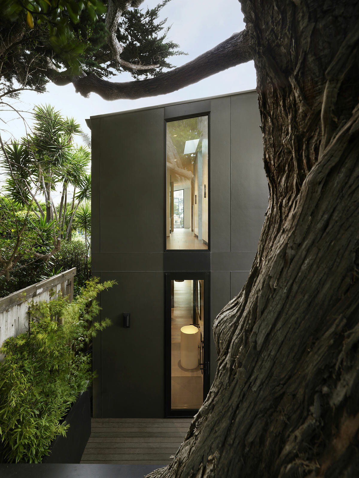 jones | haydu revives san francisco home with stepping cedar boxes