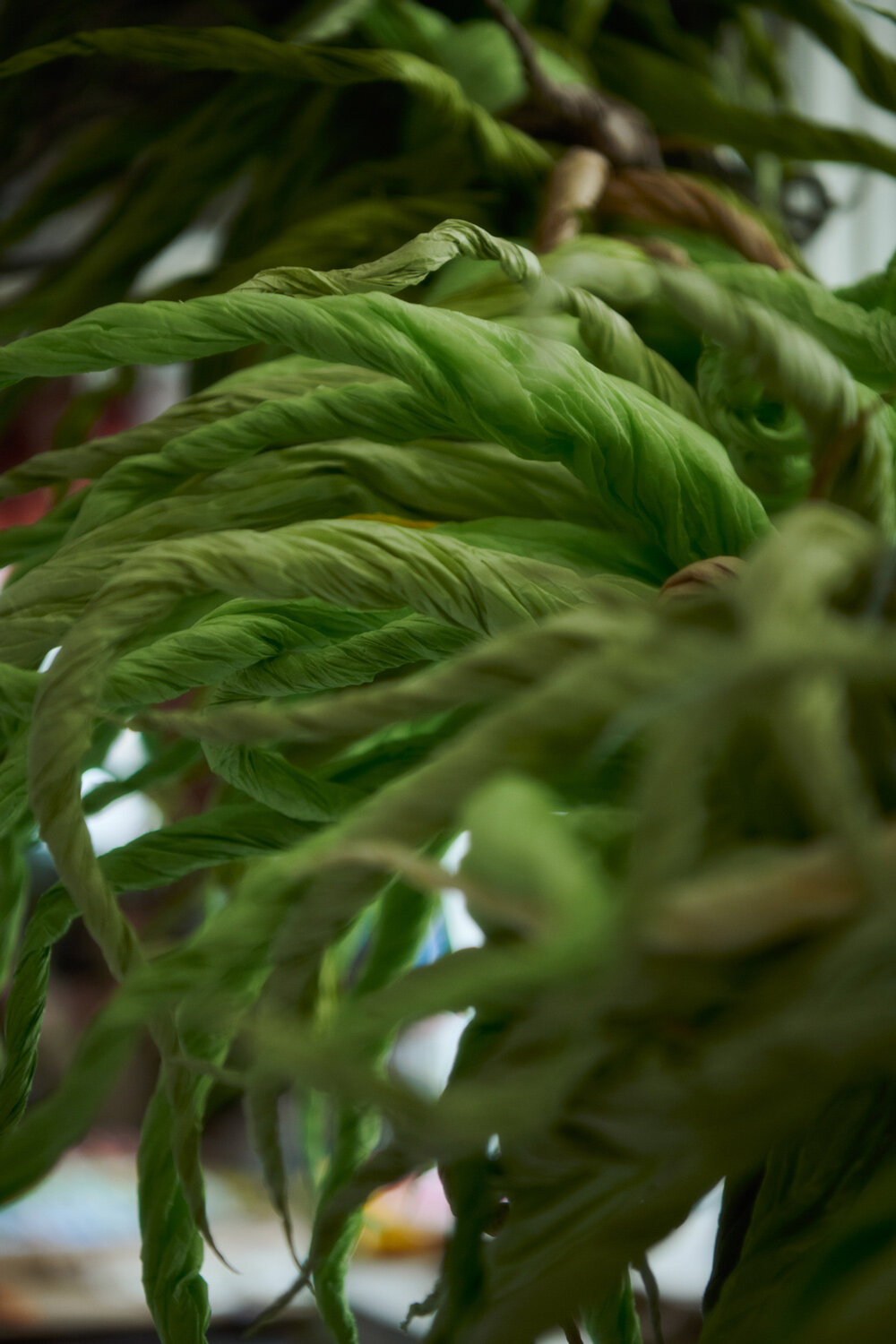marianne eriksen scott-hansen's paper shelter blooms at the mindcraft project display