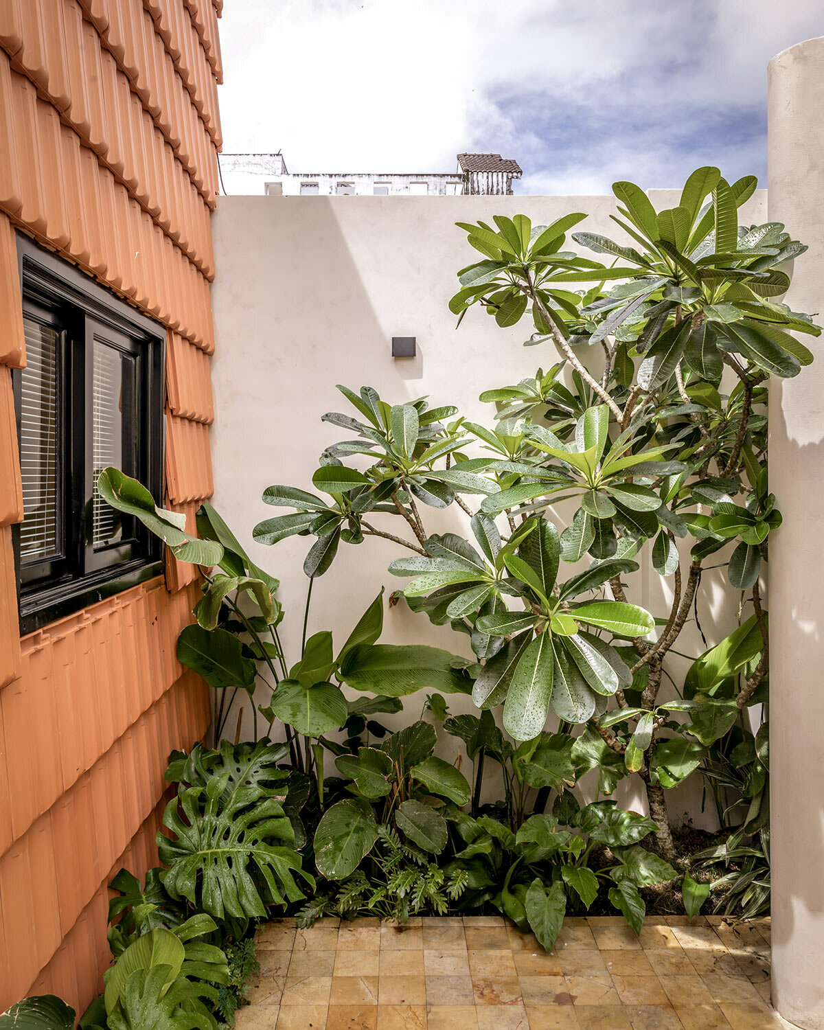 da vàng studio nurtures seven gardens within its nhà voi house