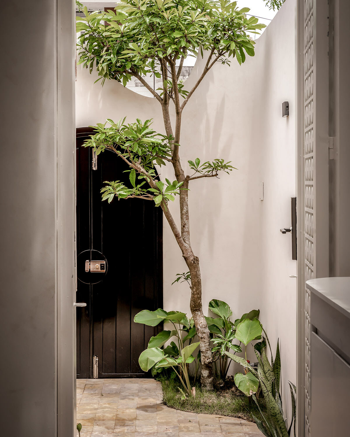 da vàng studio nurtures seven gardens within its nhà voi house