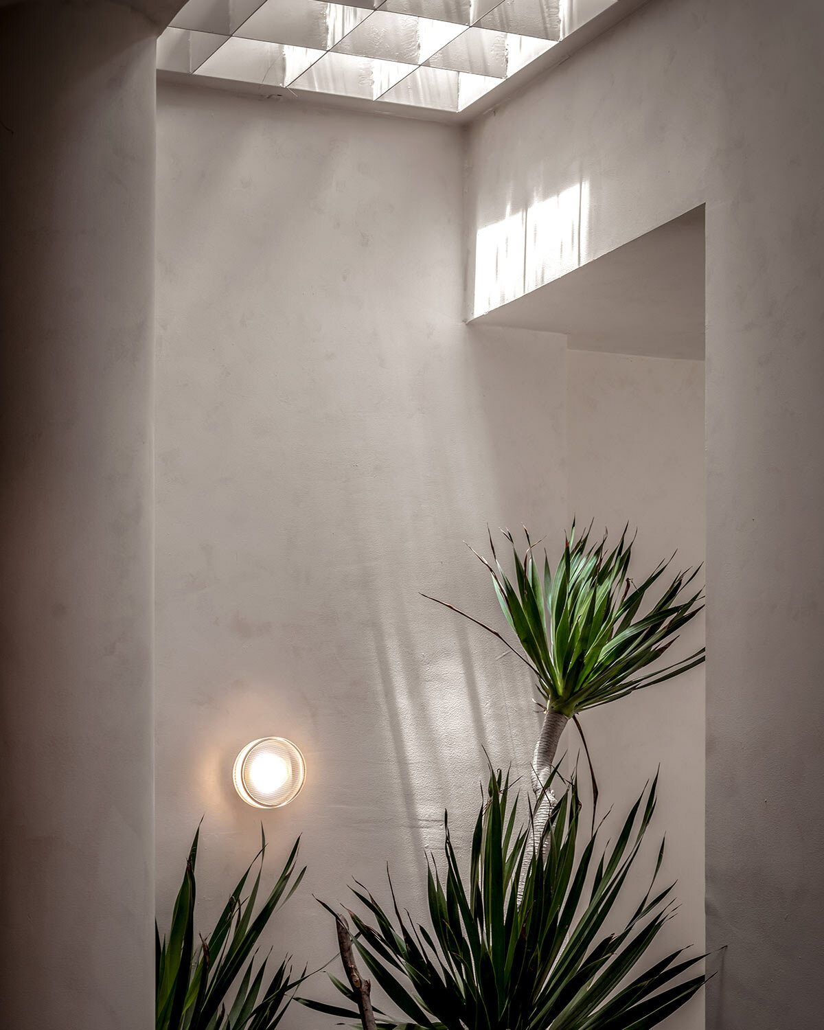 da vàng studio nurtures seven gardens within its nhà voi house