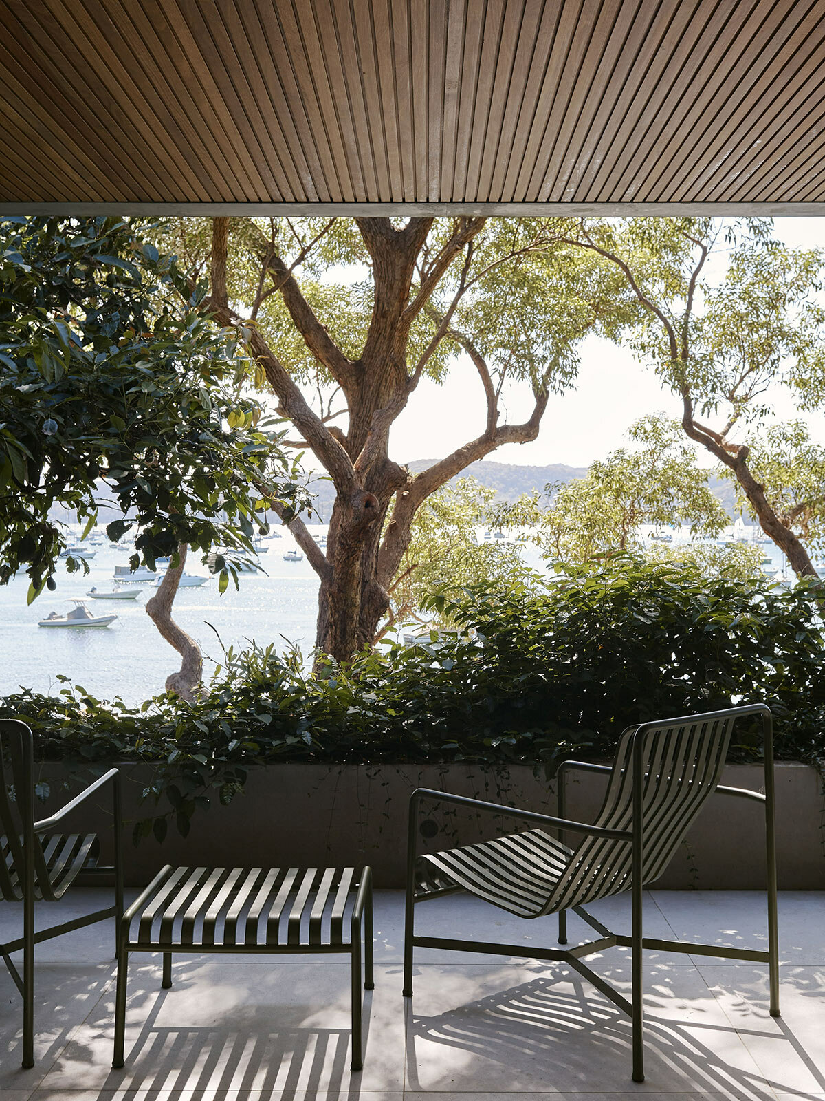 gardened roof planes float over rama architects' australian M house