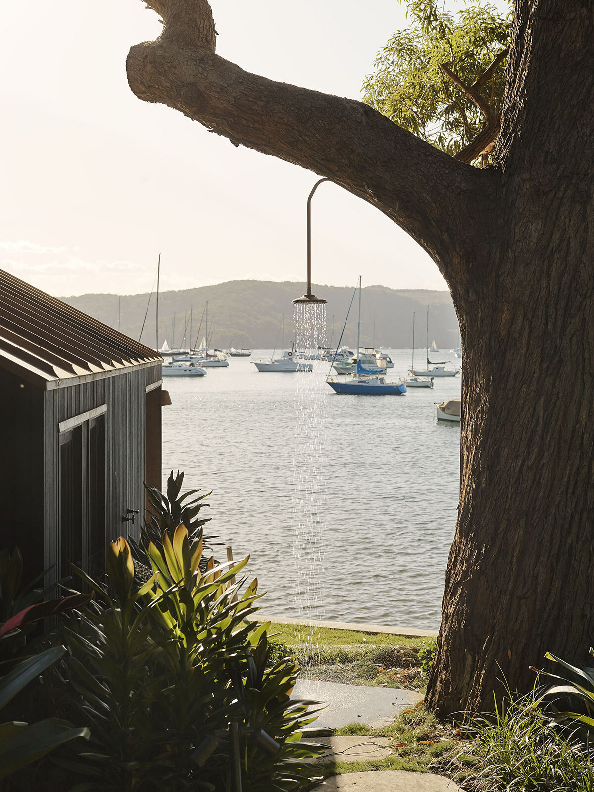 gardened roof planes float over rama architects' australian M house