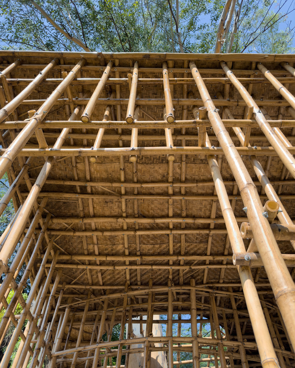 short film guides us through bamboo pavilion celebrating indian ...