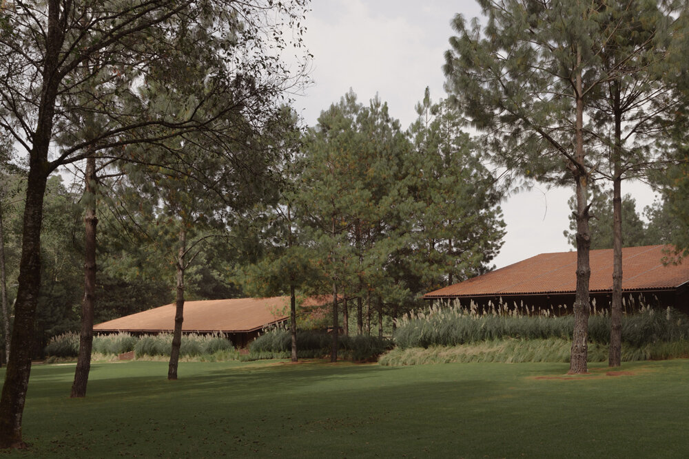 rustic horse stable by módica ledezma blends into its lush mexican setting