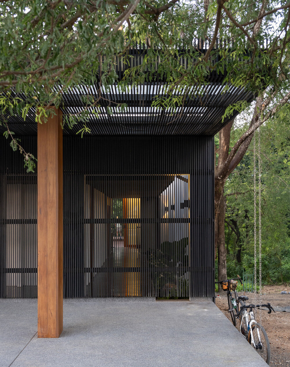 timber-clad residence settles on stilts within raintree forest in thailand