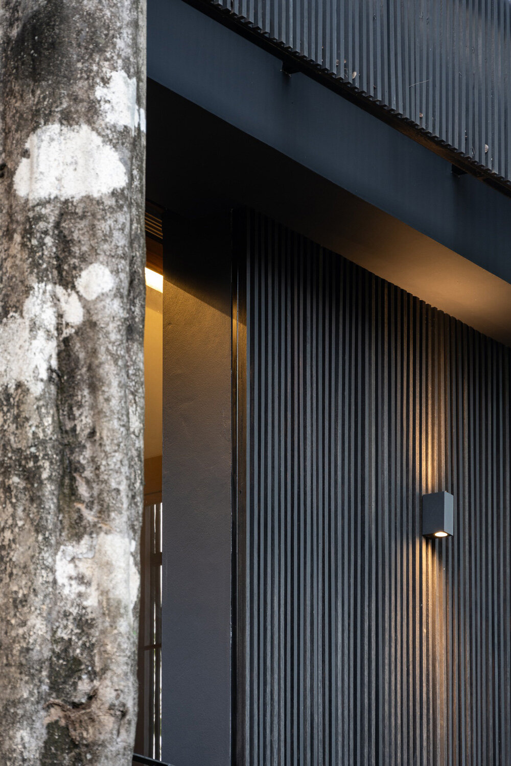 timber-clad residence settles on stilts within raintree forest in thailand