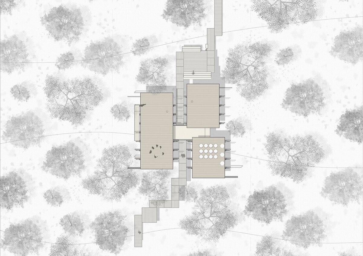 like its namesake dragonfly, casa libélula floats over a river delta