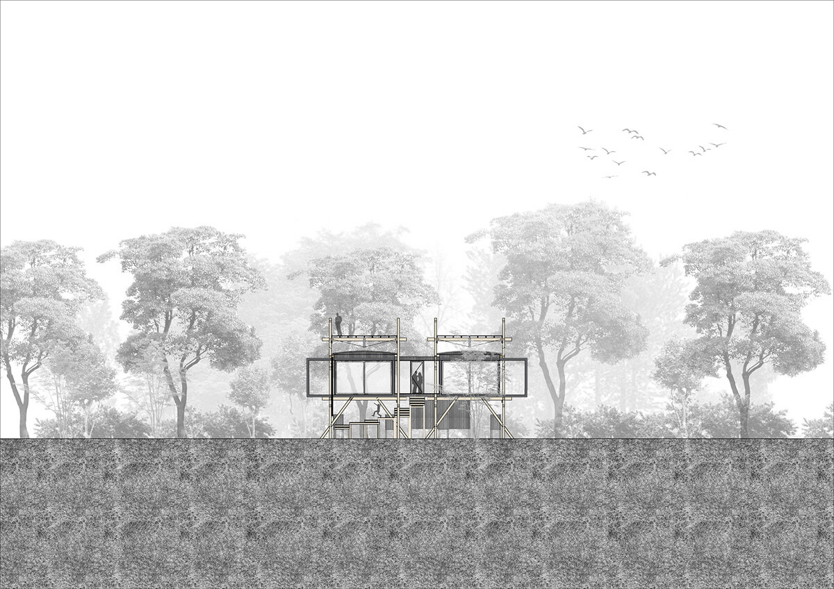 like its namesake dragonfly, casa libélula floats over a river delta