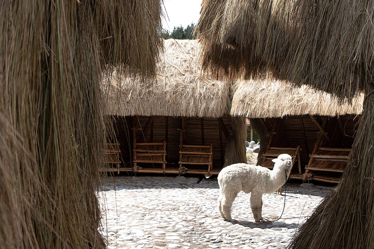 ecuador community builds thatched 'chaki wasi' handicrafts center