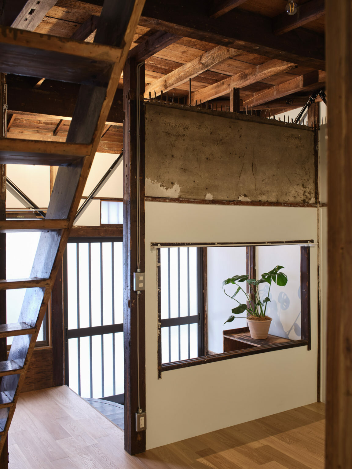 ROOVICE and cabbage truck restore centennial row house's structural ...