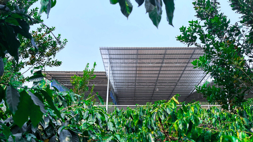 flying roof planes by PAO float over sports arenas in rural yunnan