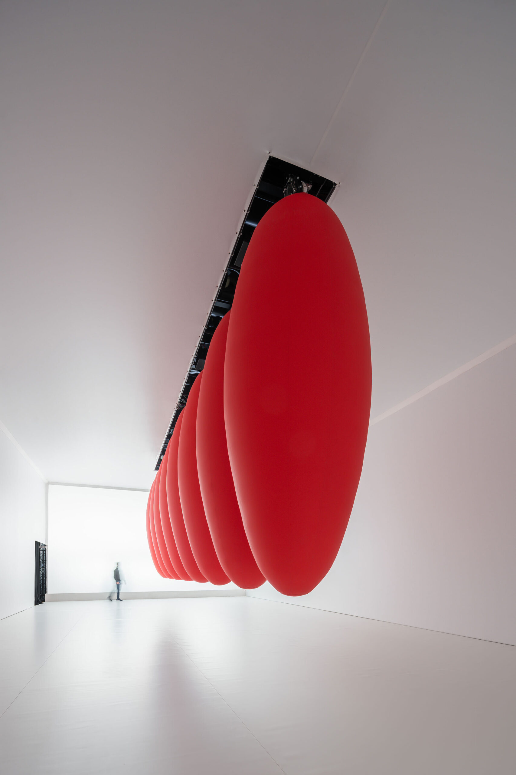 eight suspended red ovoids by SpY dance in pendular sequences